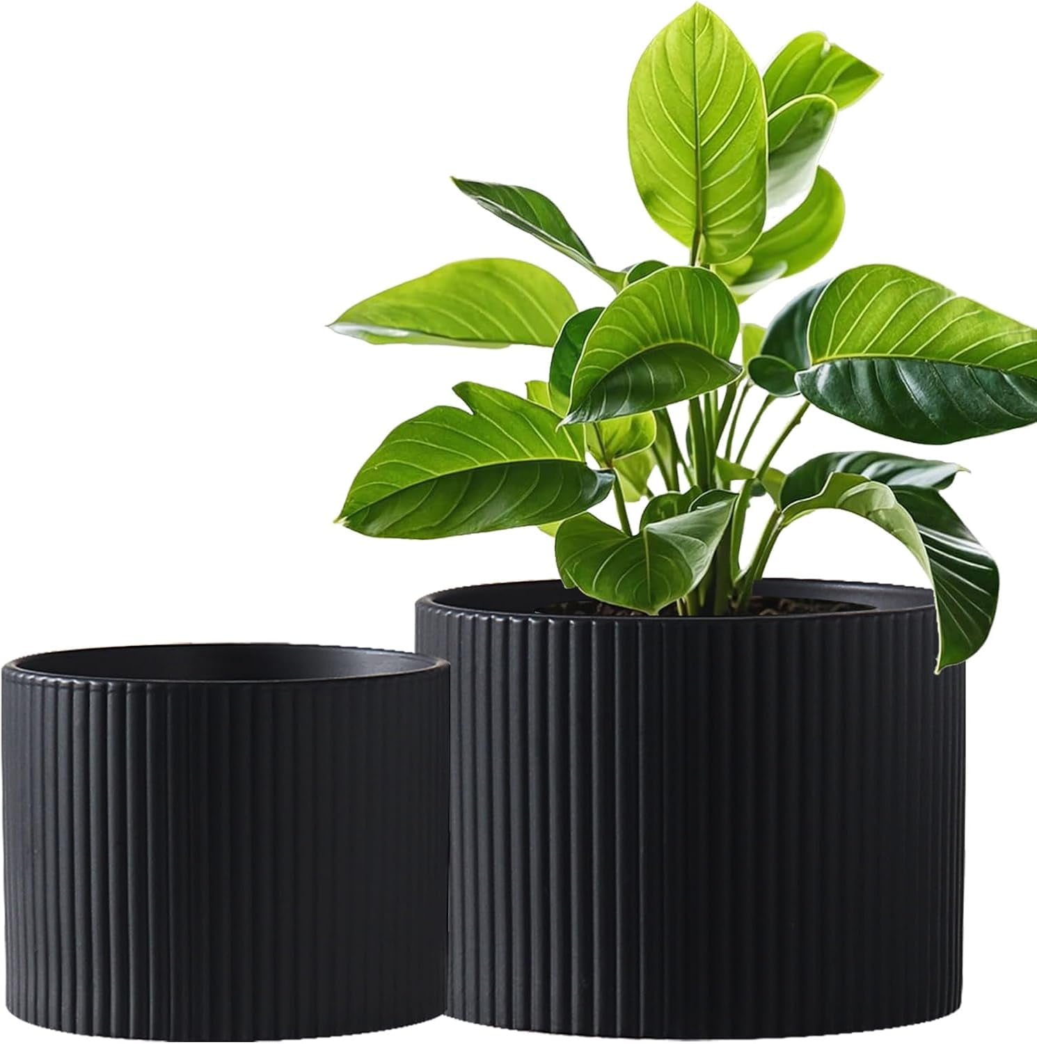 8.1 + 6 Inch Matte Black Ceramic Planters - Modern Cylinder Flower Pots ...