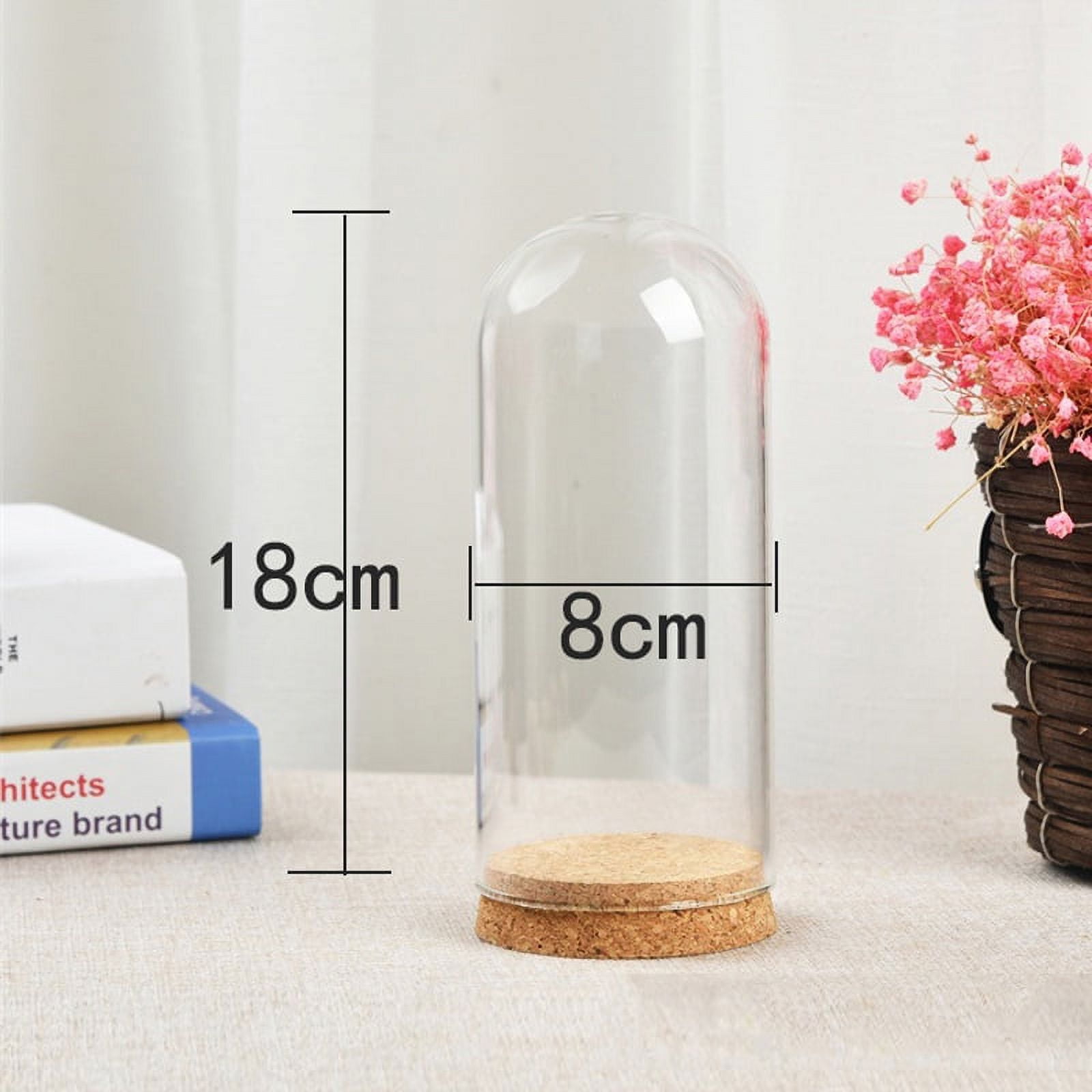 8/10/12Cm Modern Handcraft Glass Dome Cover Dry Flower Vase With Wood ...