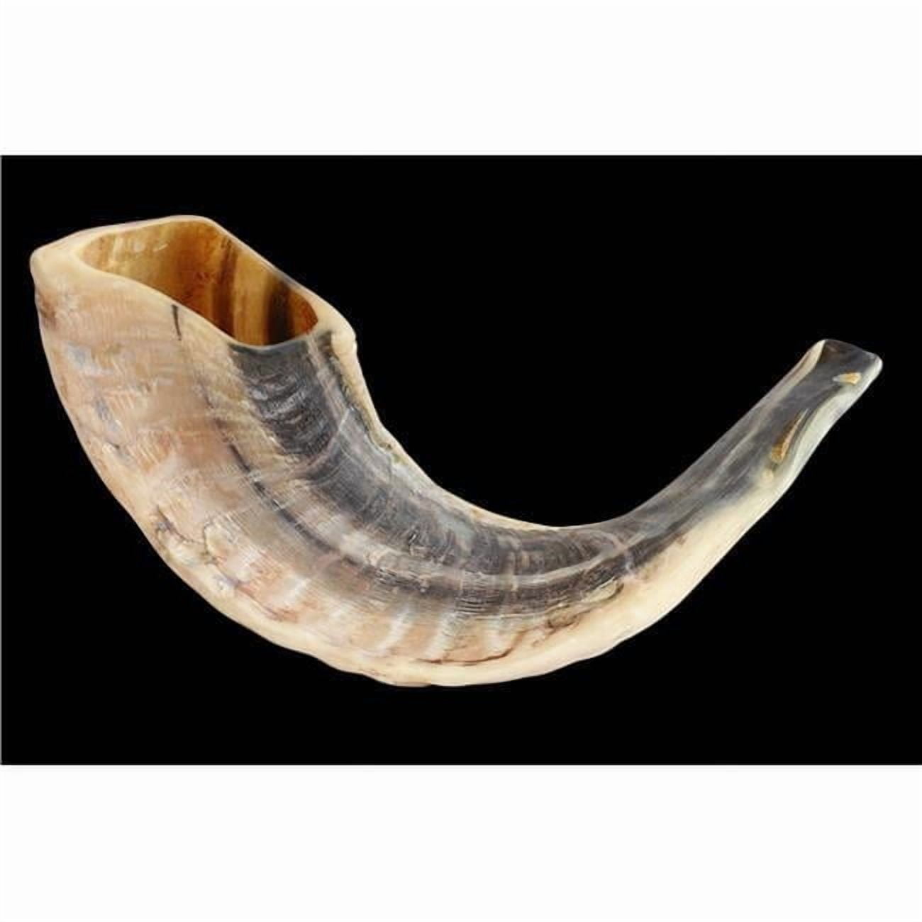 Jewish Rams Horn