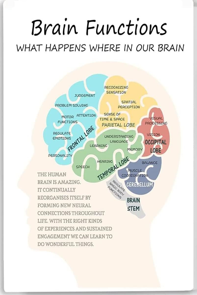 8"×12" Brain Functions Mental Health Positive Therapy Office Aluminum ...