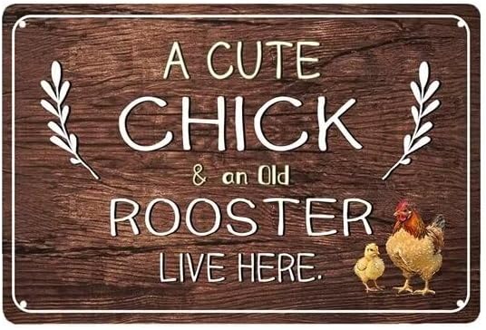 8"×12" Funny Chicken Signs for Coop A Cute Chick And An Old Rooster ...