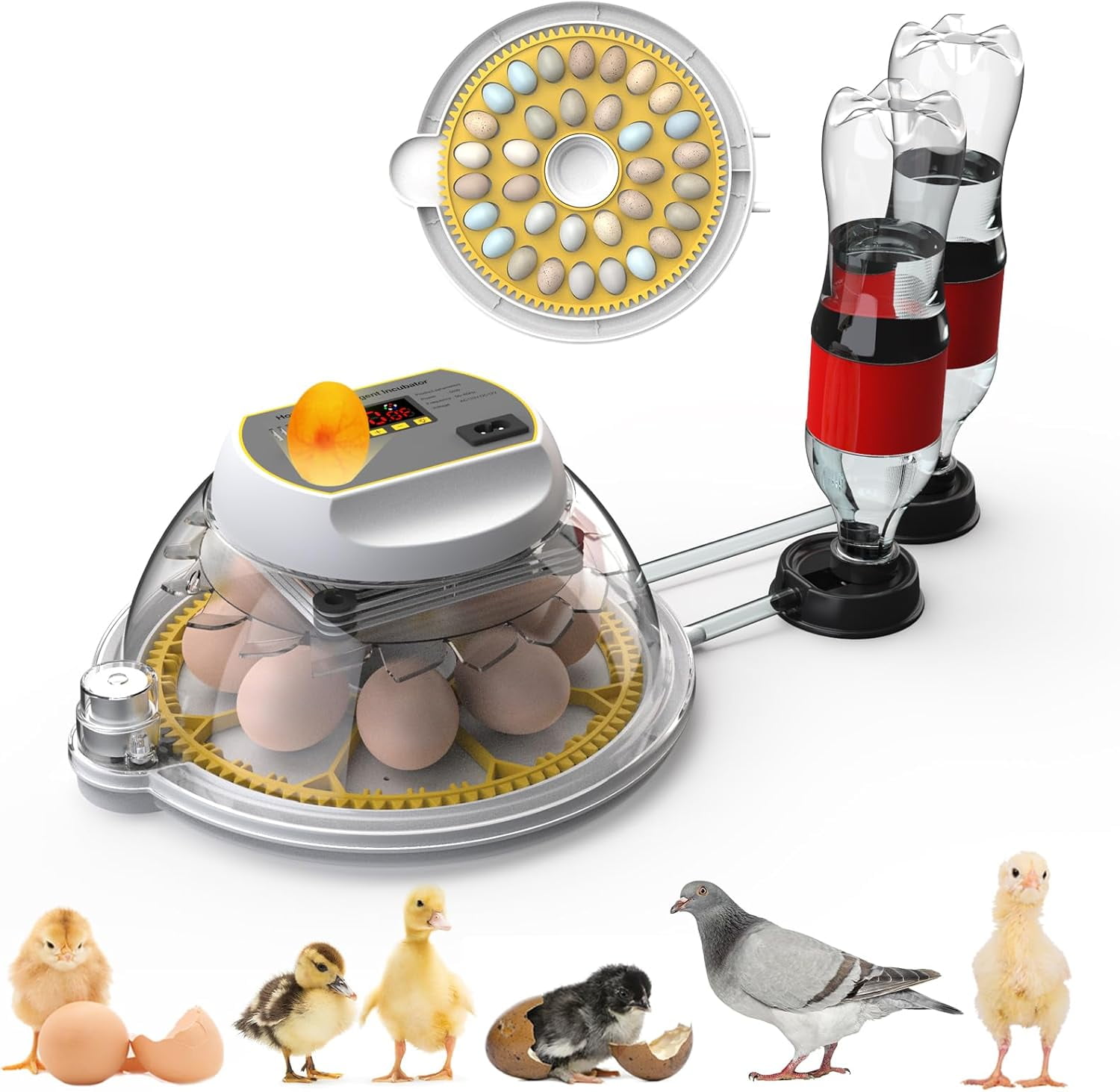 8-33 Eggs Incubator for Hatching Eggs, Double Egg Trays Incubator with Automatic Egg Turning and ...