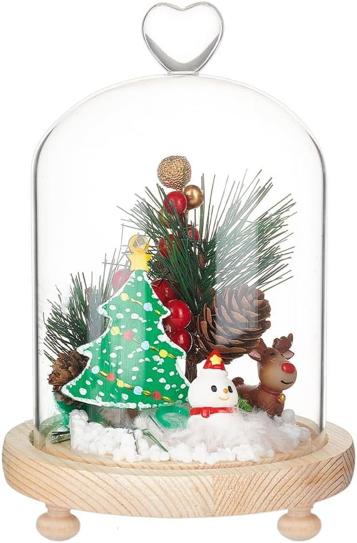 8.3x4.5 Inch Glass Display Dome with Base Cloche Glass Dome with Heart ...