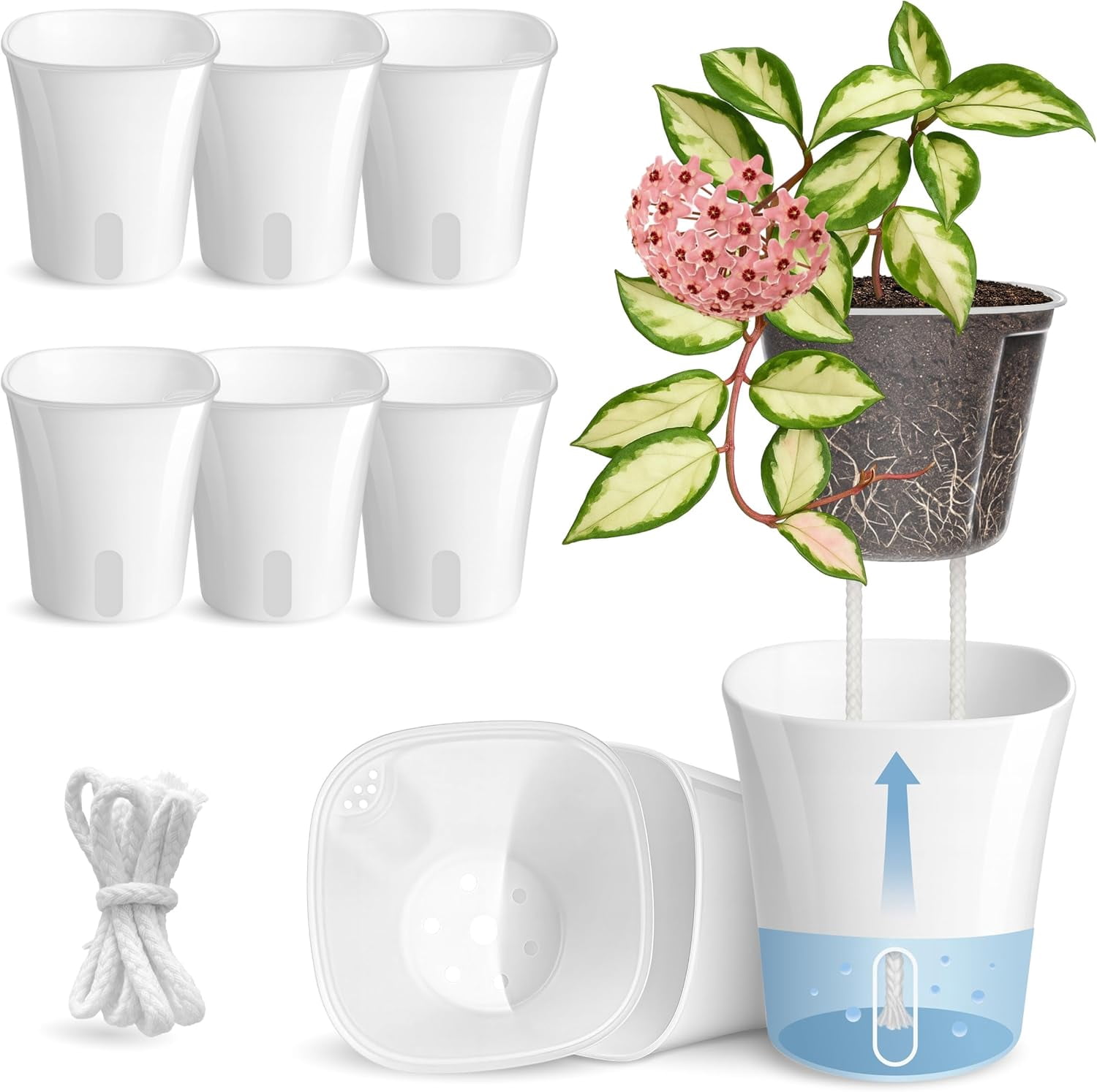 8 4" Self Watering Pots for Indoor , Clear Inner Cup, Small White ...