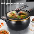 8.45QT/2.11Gallon Non-Stick Cast Iron Stockpot, Large Cooking Pot with ...