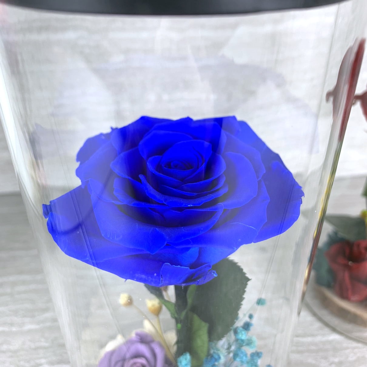 8.5" Enchante Forever Rose Touch Night Light Preserved Flower LED Lamp ...