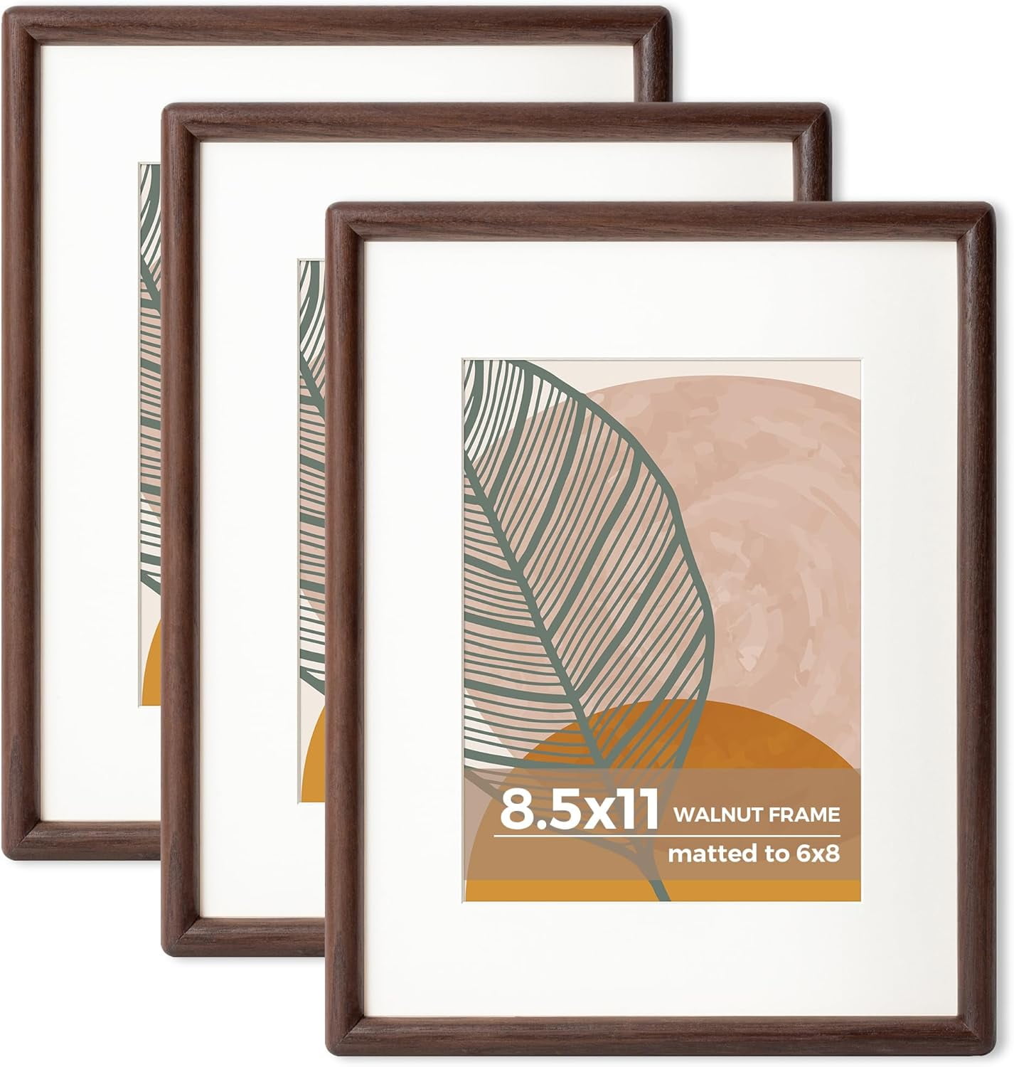 8.5 x 11 Picture Frame Set of 3 - Solid Walnut Frame 11x8.5 Matted to ...
