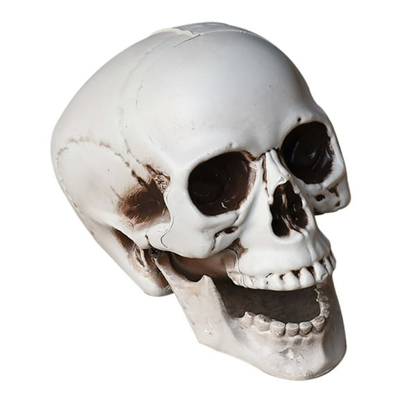 Plastic Skull