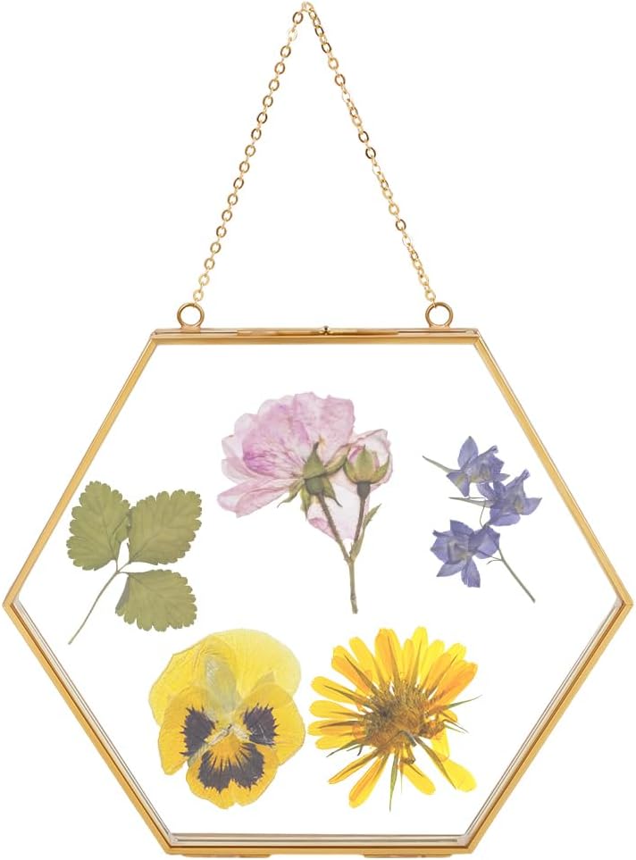 8.6x9.4x0.6 Inch Hexagon Glass frame for Wine Bottle Caps 8mm ID Gold ...