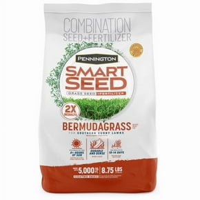 Bermuda Grass Seeds in Grass Seed & Sod - Walmart.com