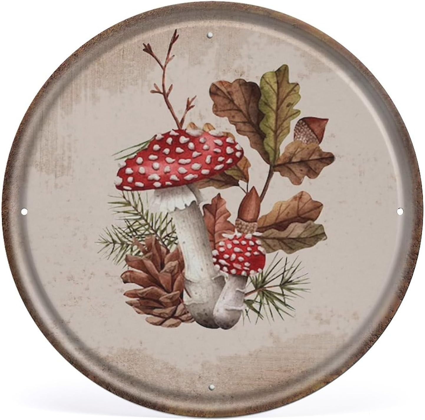 8*8inch Dragonfly Round Creative Rustic Wall Decor Accept What is Funny ...