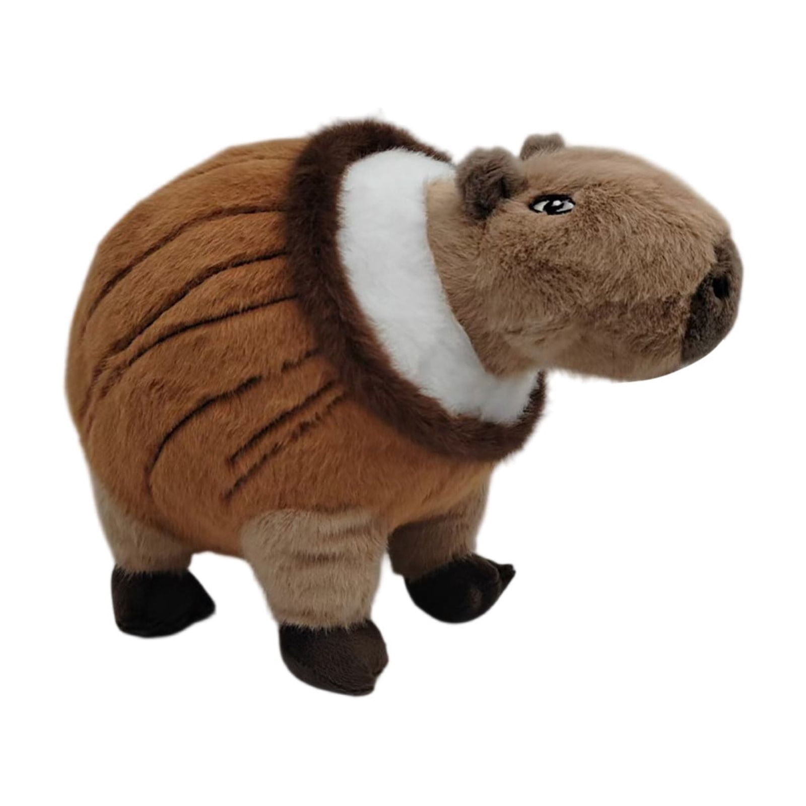 8" Coconut Guinea Pig Toy, Italian Brainrot Coconut Guinea Pig ...