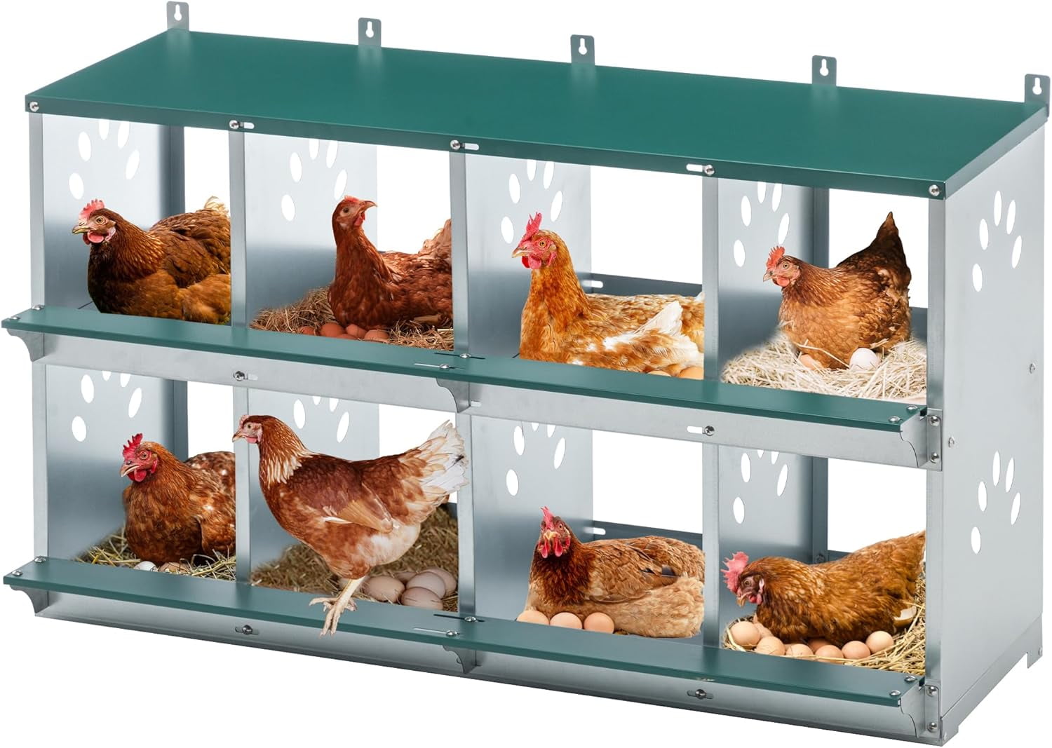 8 Compartments Chicken Nesting Boxes, Metal Nesting Box for Chickens ...