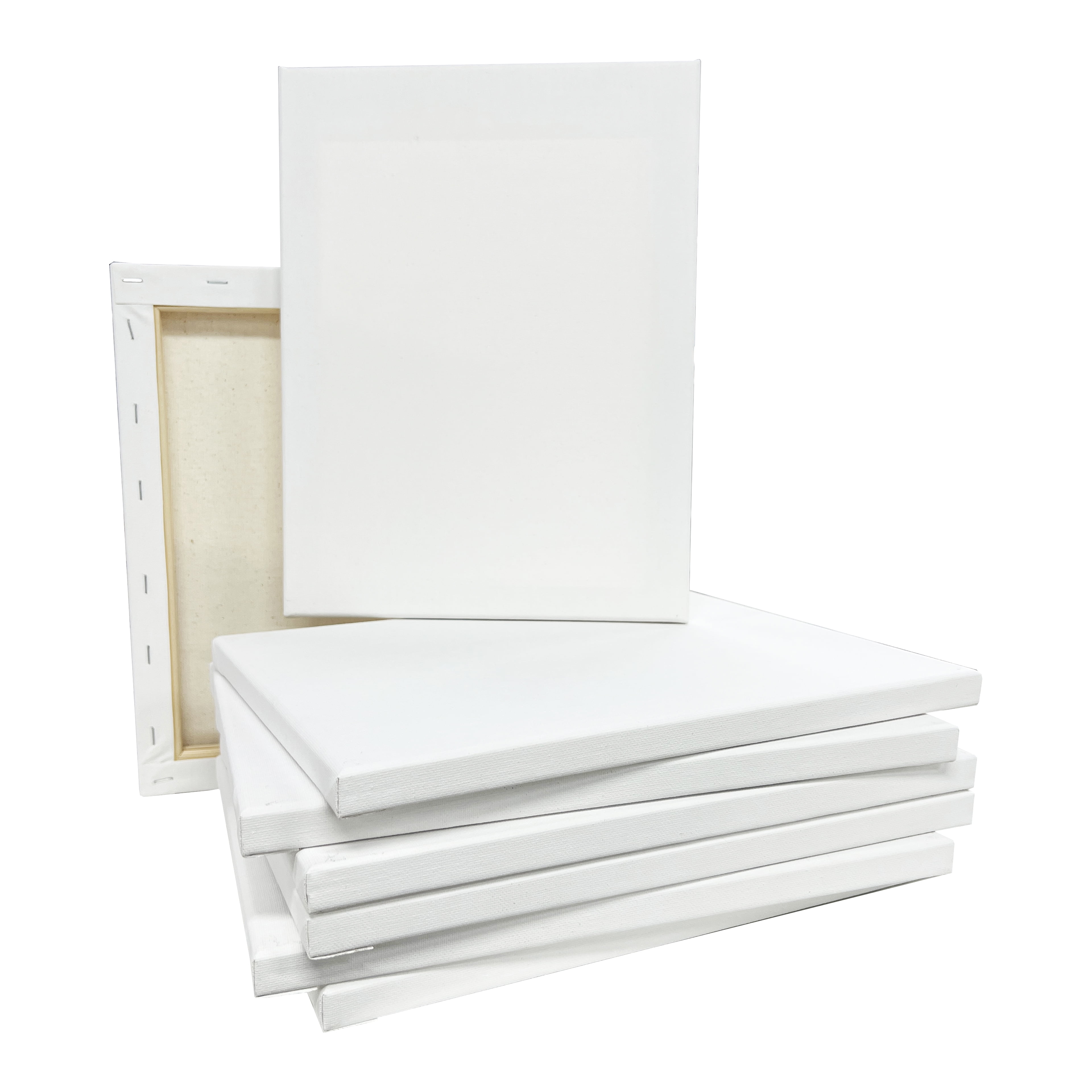 Artist's Loft 8 Count 9" x 12" Super Value Canvas Necessities - Acid ...