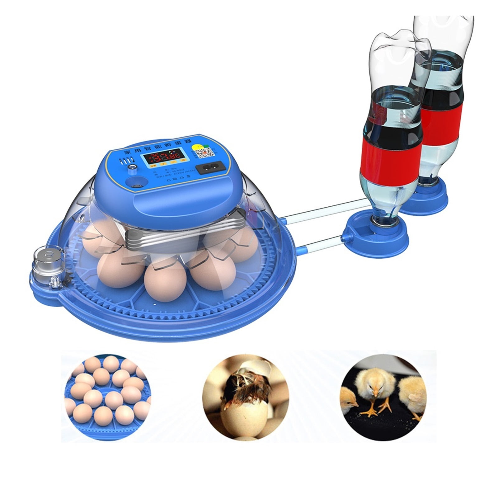 8 Eggs Incubator Brooder Bird Quail Chick Eggs Farm Hatcher Automatic ...