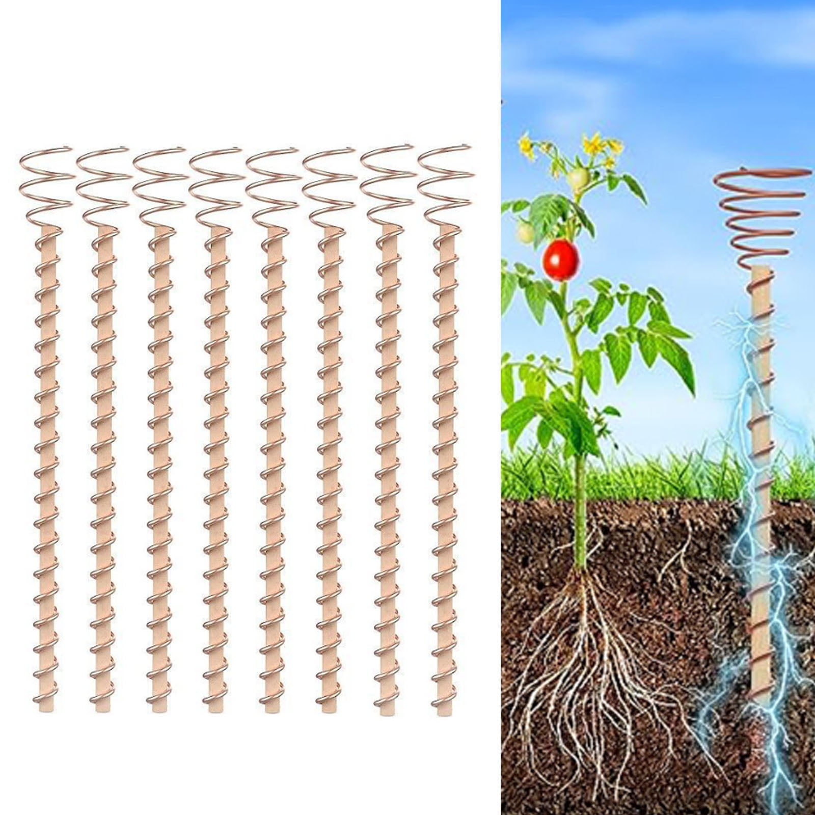 8 Electric Cultivation Plant Stakes, 12 Inch Copper Wire Circle Garden ...