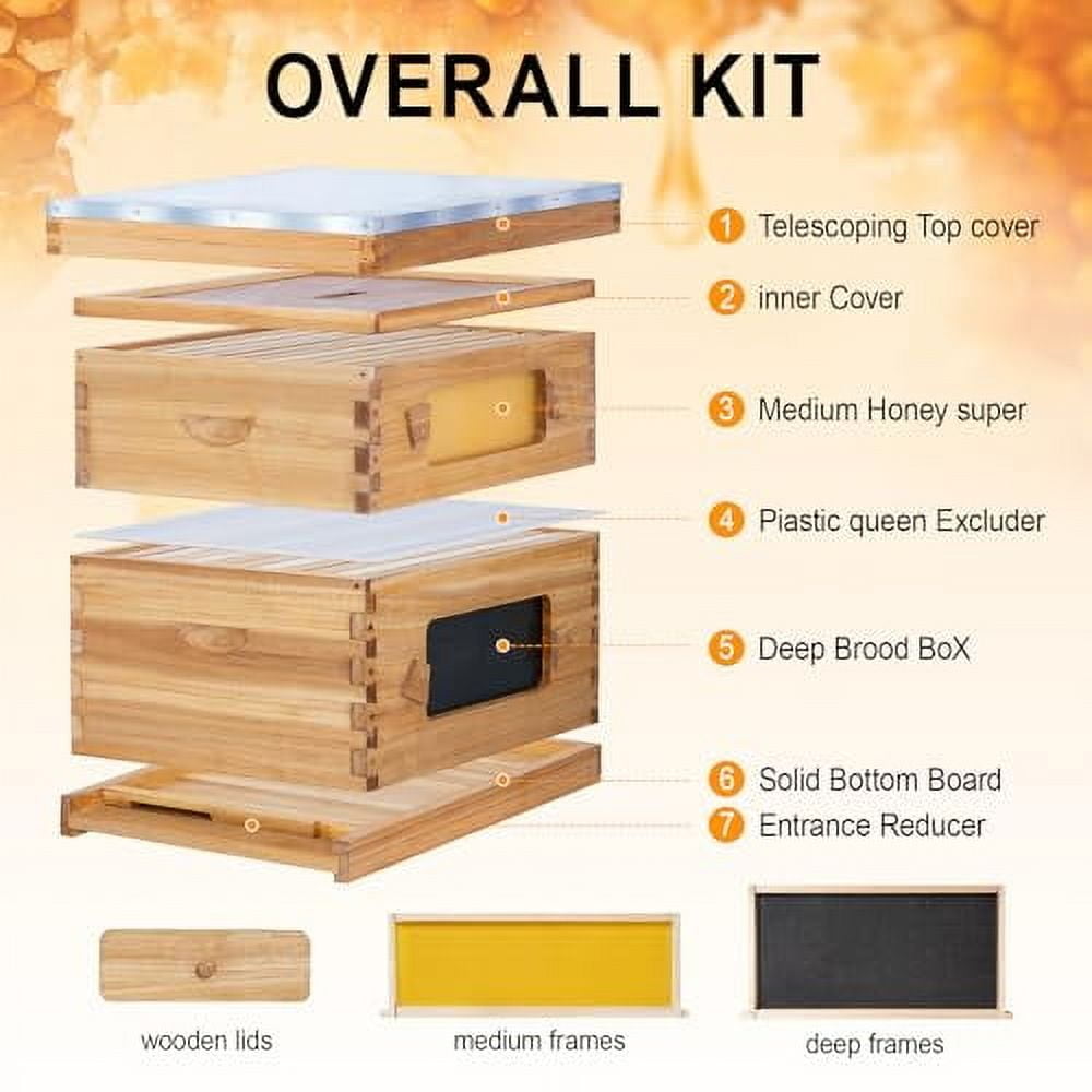 8 Frame Bee Hive Starter Kit with Windows, Beeswax Coated Langstroth Bee Hives Boxes for ...