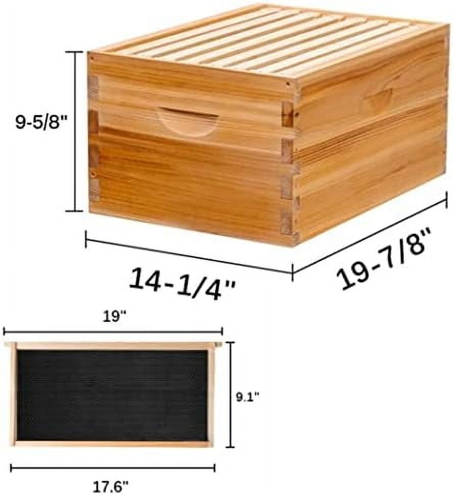 8-Frame Beehive Box Langstroth Deep Brood Box Dipped in 100% Beeswax ...