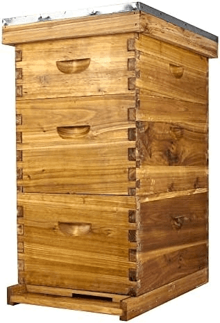 8 Frame Langstroth Beehive Dipped in Beeswax Includes Wooden Frames ...