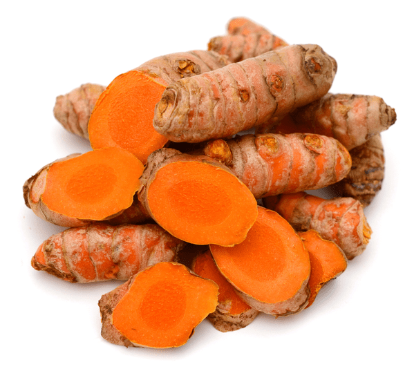 8 Fresh Orange Turmeric Roots Turmeric Ginger Herb Tubers Curcuma Longa ...