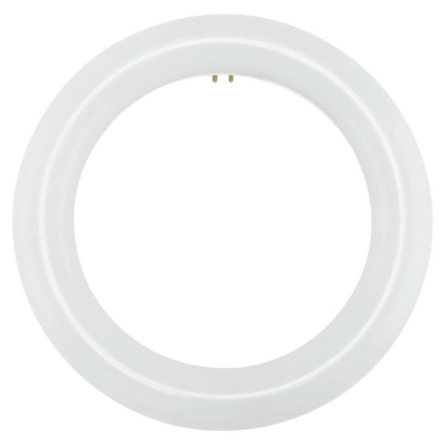 8 Inch/ 8" Plug & Play T9 Circline LED Lamp - Cool White (4200K ...