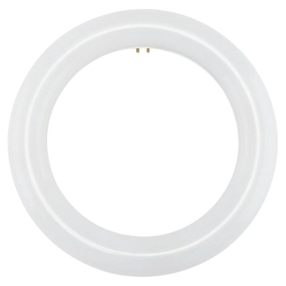 Circular Light Bulbs