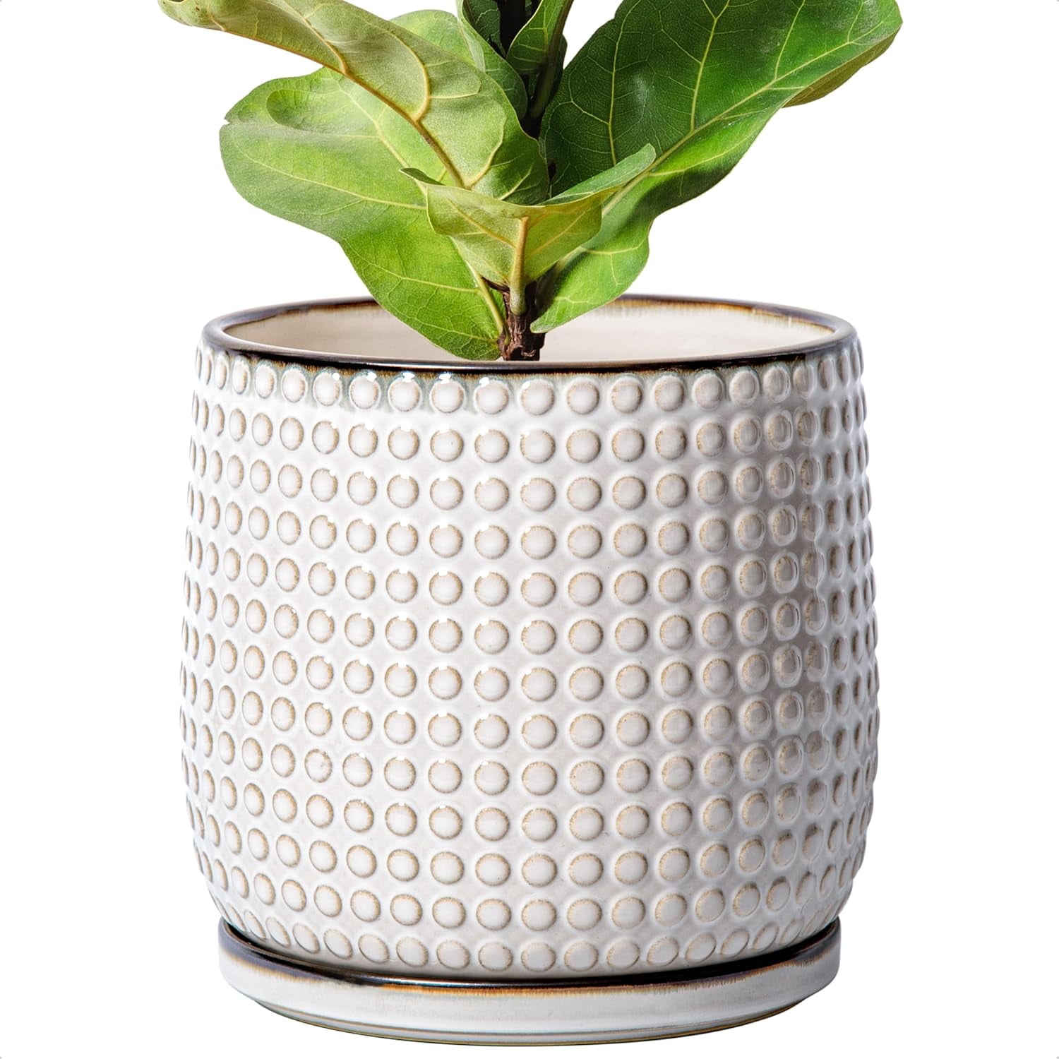8 Inch Ceramic Beaded Stoneware Planter Pot - Flower Pot with Drainage Holes and Saucers for ...