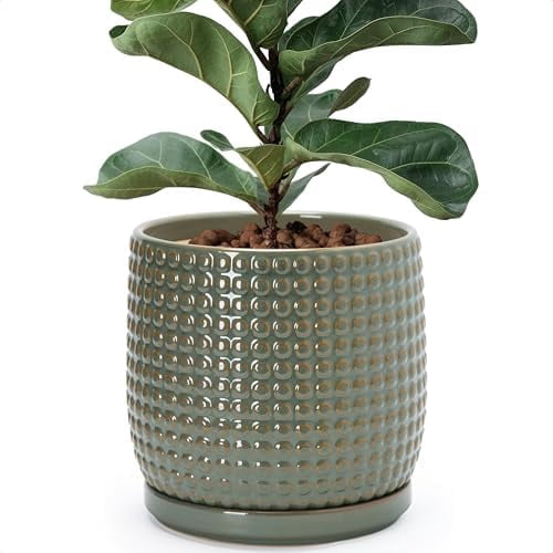 8 Inch Ceramic Beaded Stoneware Planter Pot - Flower Pot with Drainage ...