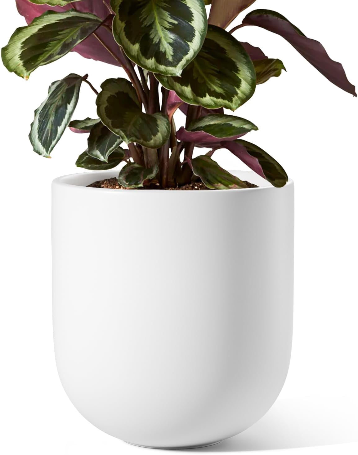 8 Inch Ceramic Plant Pot with Drainage Hole & Rubber Plug, Indoor Herb ...