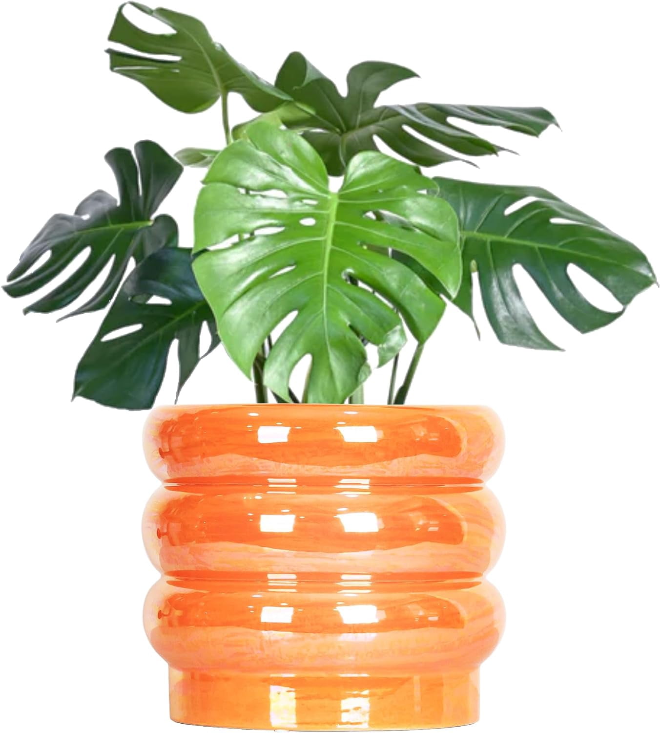 8 Inch Ceramic Plant Pot with Drainage, Planter for Indoor Plants ...