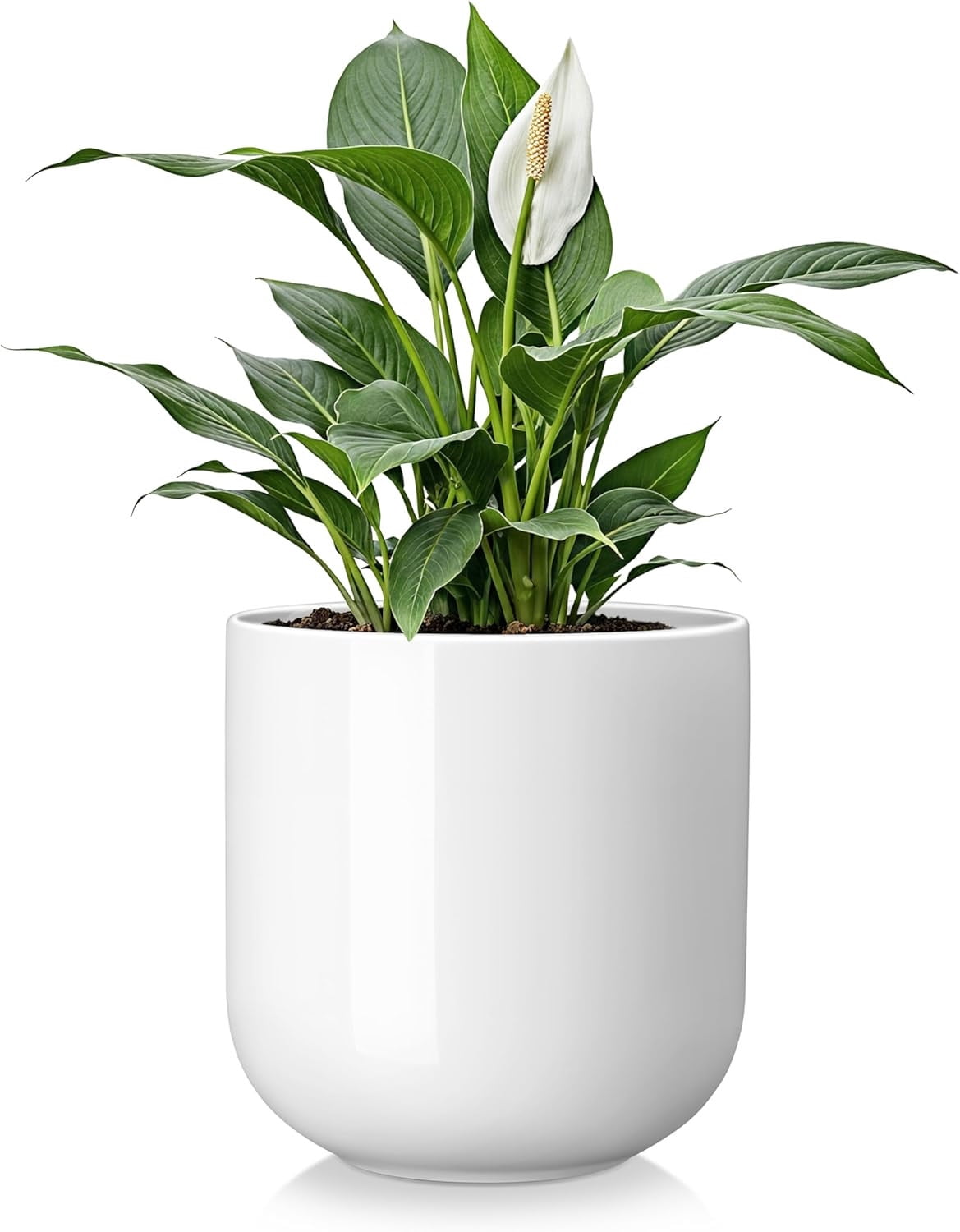 8 Inch Ceramic Plant Pots, Planters with Drainage Hole, Flower Pots ...