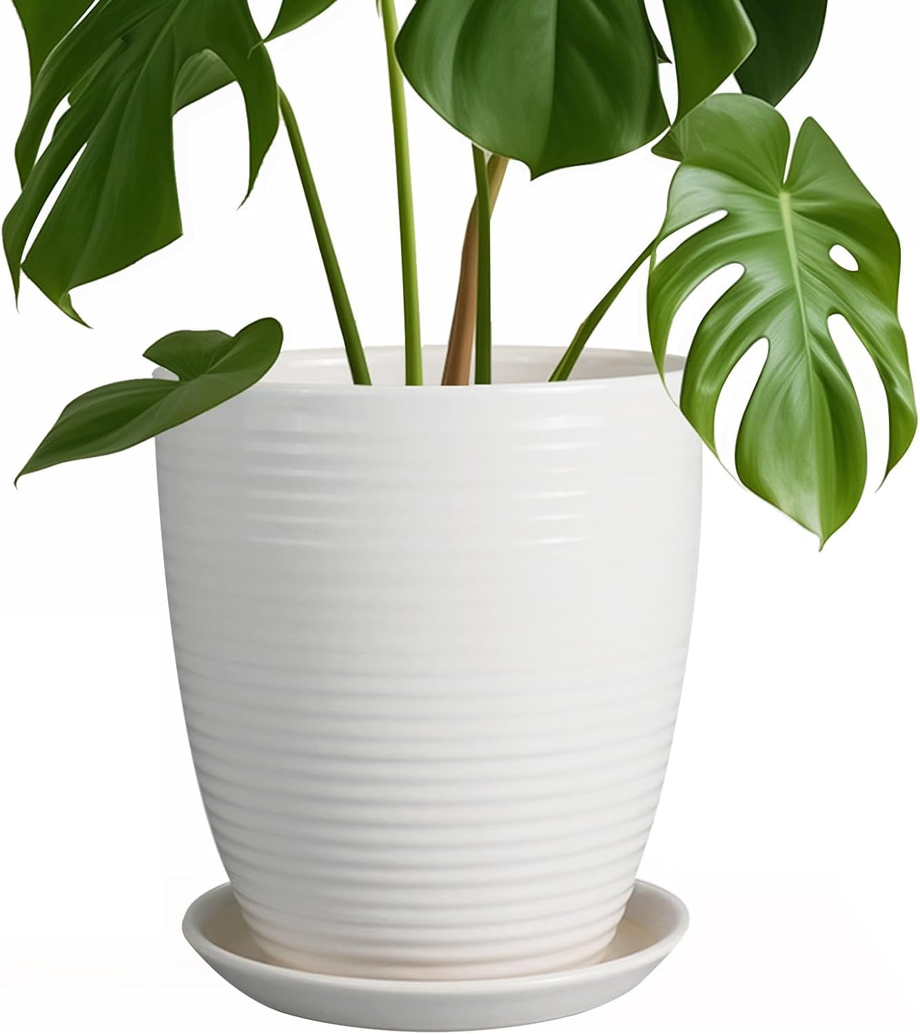 8 Inch Ceramic Planter Pot Round Plant Pot with Drainage Hole and ...