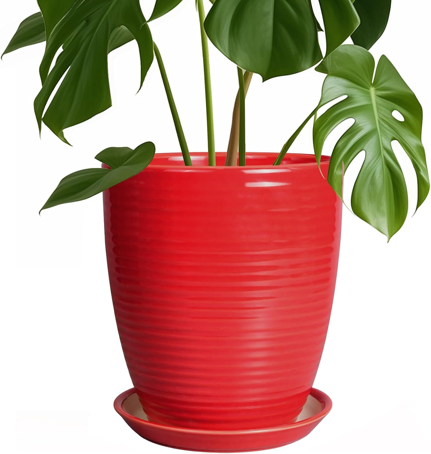 8 Inch Ceramic Planter Pot Round Plant Pot with Drainage Hole and ...
