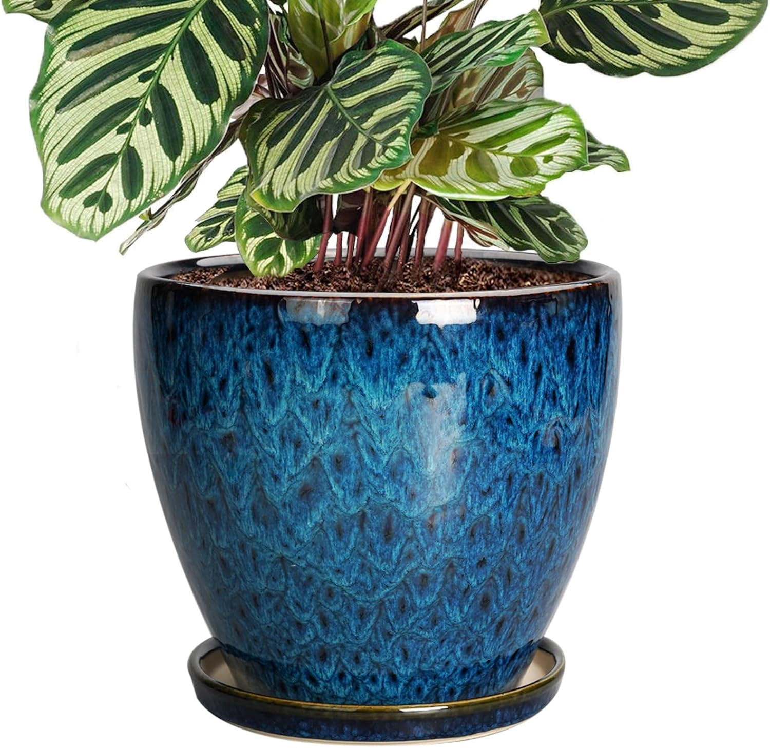 8 Inch Ceramic Planter Pot with Drainage Hole and Saucer, Ceraimc Plant ...