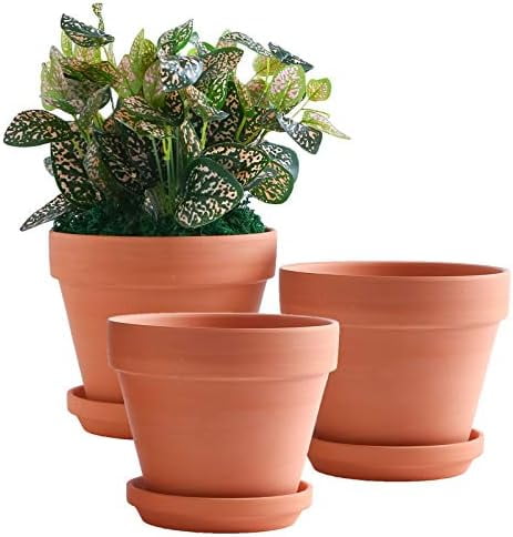 8 Inch Clay Pot for with Saucer - 3 Pack Large Terra Cotta Pot with ...