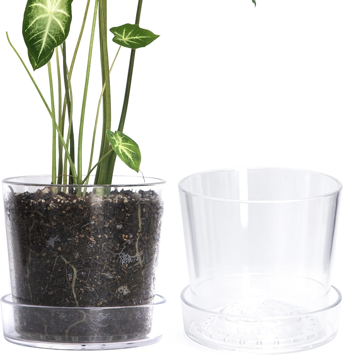 8 Inch Clear Acrylic Planter Pot with Tray, Orchid Pot with Drainage ...