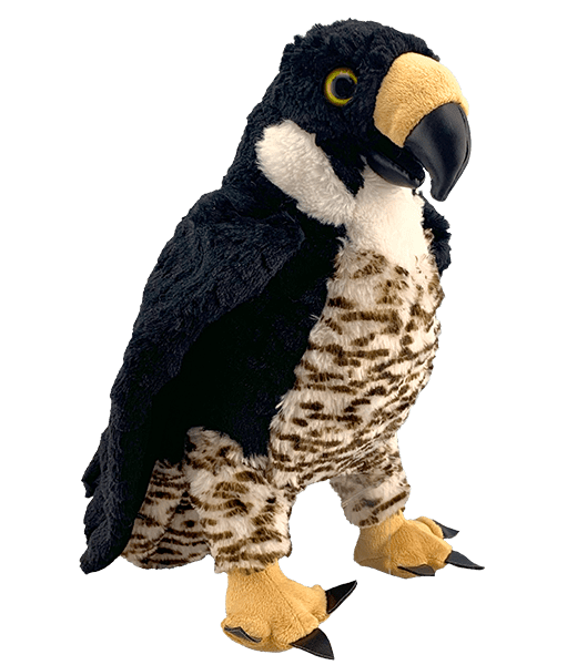 8-Inch Freddie the Falcon and Spooky Skeleton Morph Suit - Adorable ...