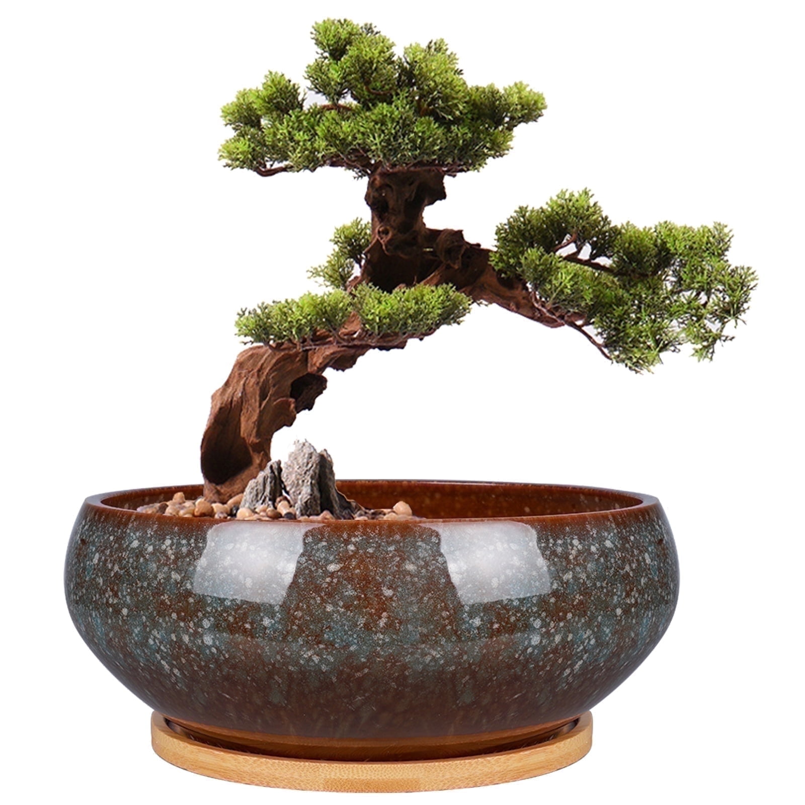 Bonsai Pot 8 inch Ceramic Shallow Round Planter with Drainage & Saucer ...