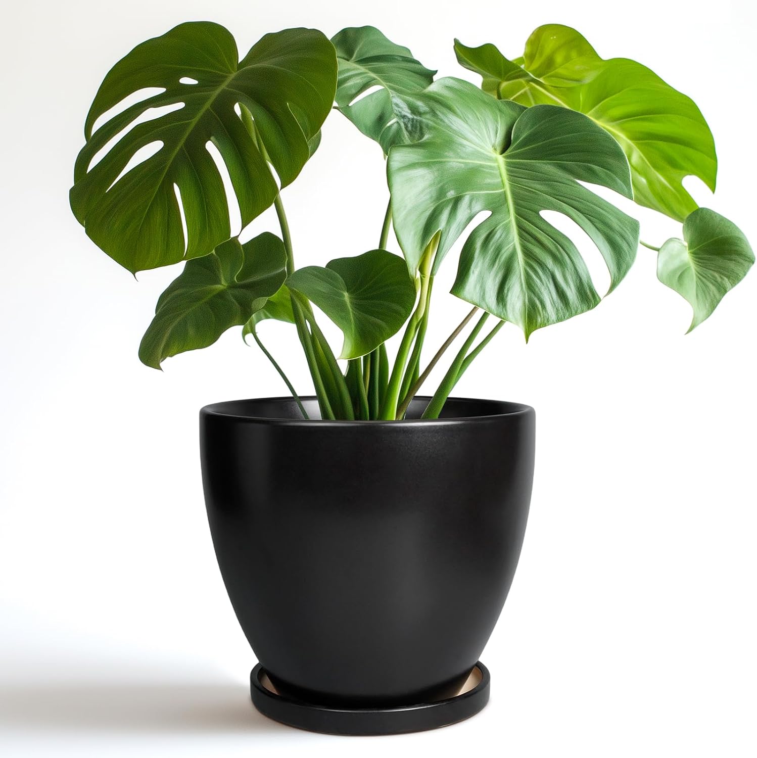 8 Inch Plant Pot - Ceraimc Planter for Indoor Outdoor Plants, Round ...