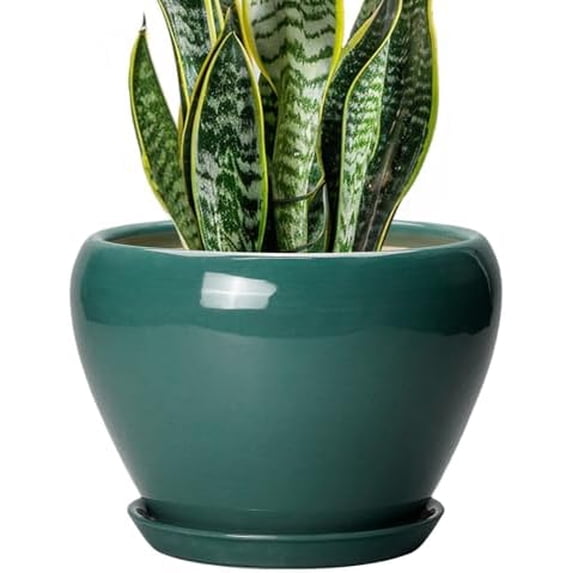 8 Inch Plant Pot - Ceramic Planter for Indoor Outdoor Plants, Glaze ...
