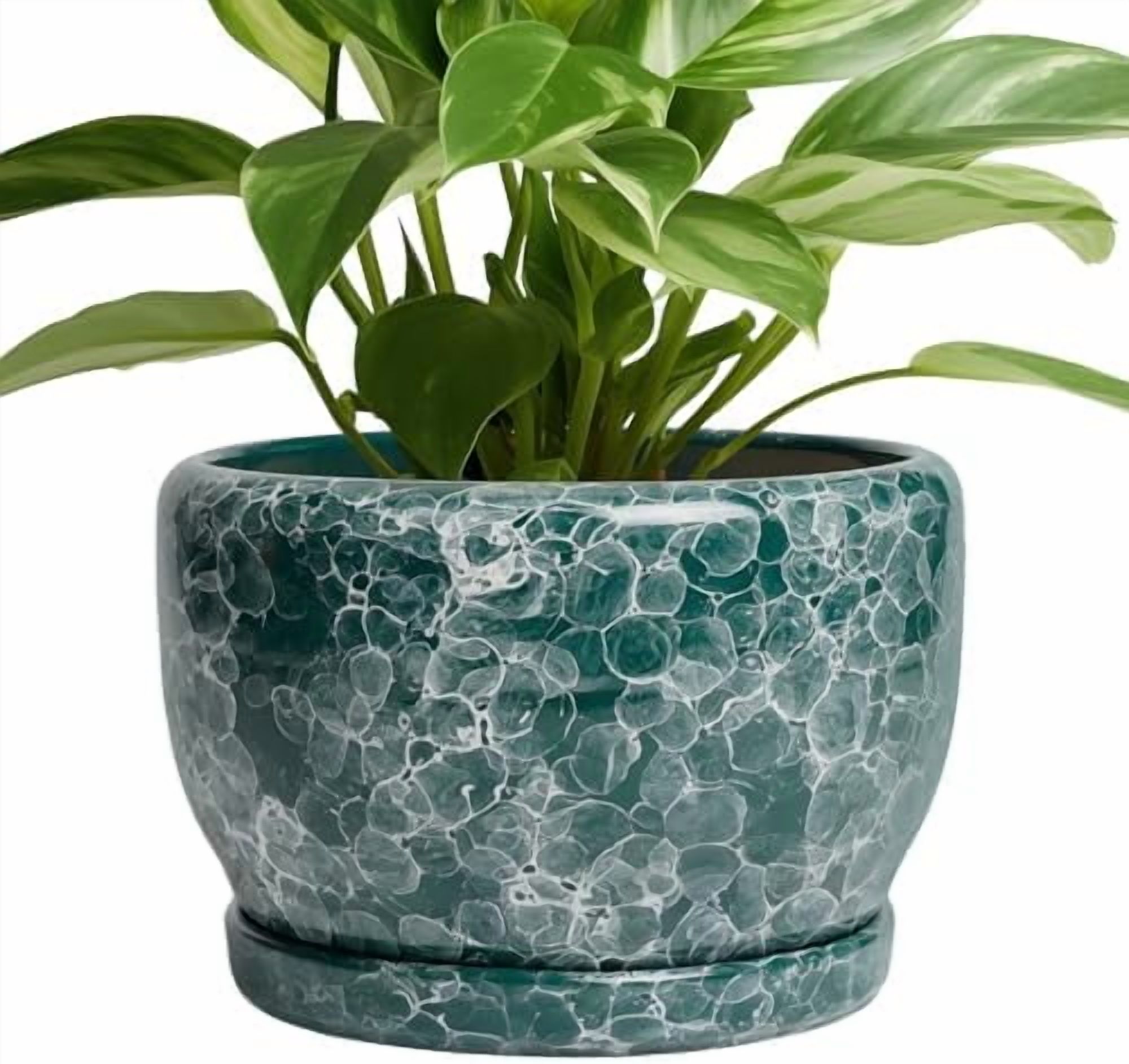 8 Inch Plant Pot - Ceramic Planter for Indoor Plants, Decorative Flower ...