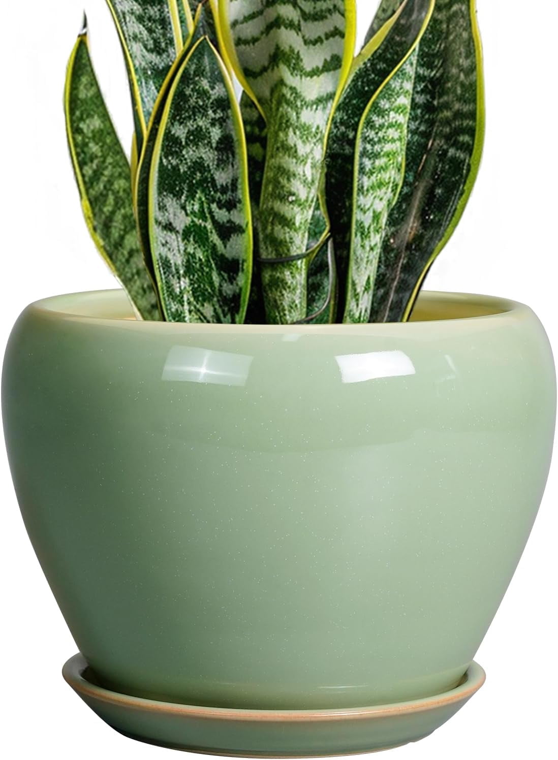8 Inch Plant Pot - Ceramic Planter for Outdoor Plants Indoor Plant Pot ...