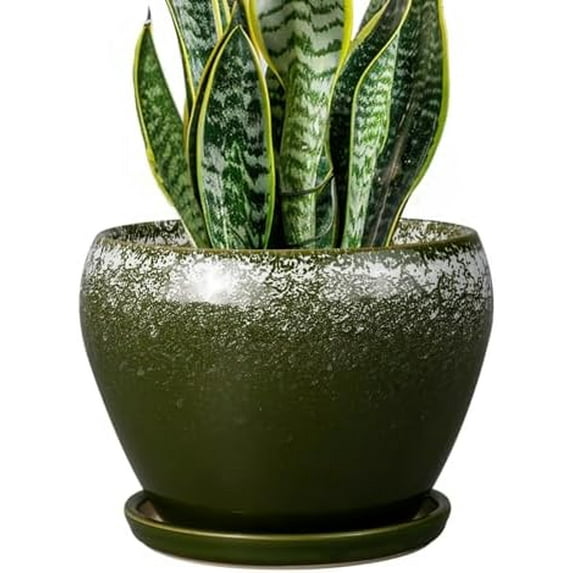 8 Inch Plant Pot - Ceramic Planter with Drainage Hole and Saucer ...