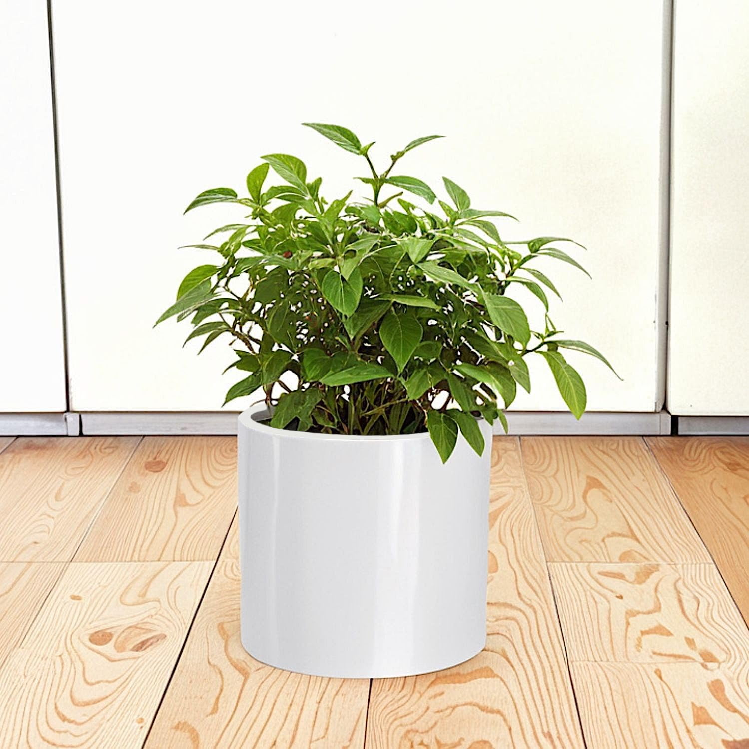 8 Inch Plant Pot with Drainage Plug Premium Lightweight Fiberstone ...