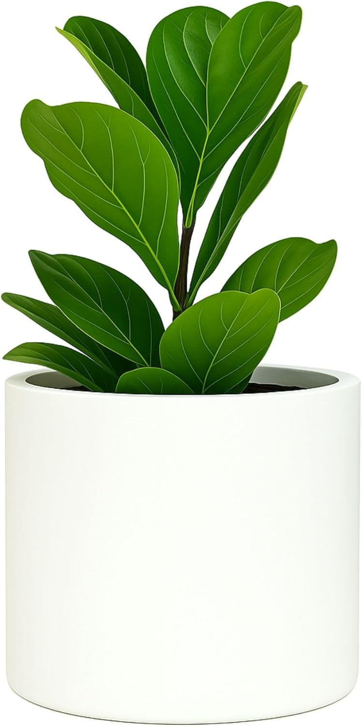 8 Inch Plant Pot with Drainage Plug — Premium Lightweight Fiberstone ...