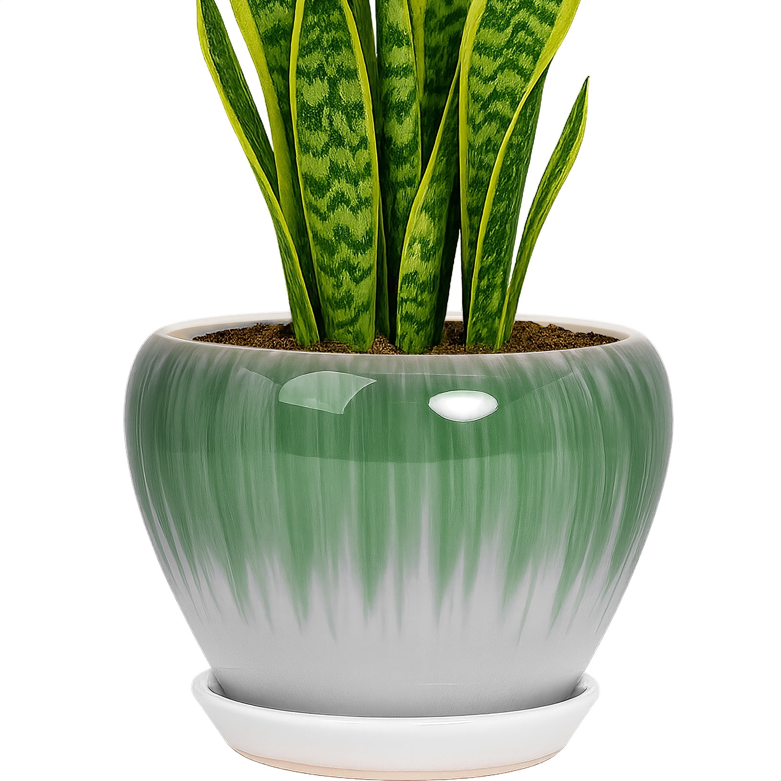8 Inch Plant Pots- Ceramic Pots for Plants with Drainage Hole and ...