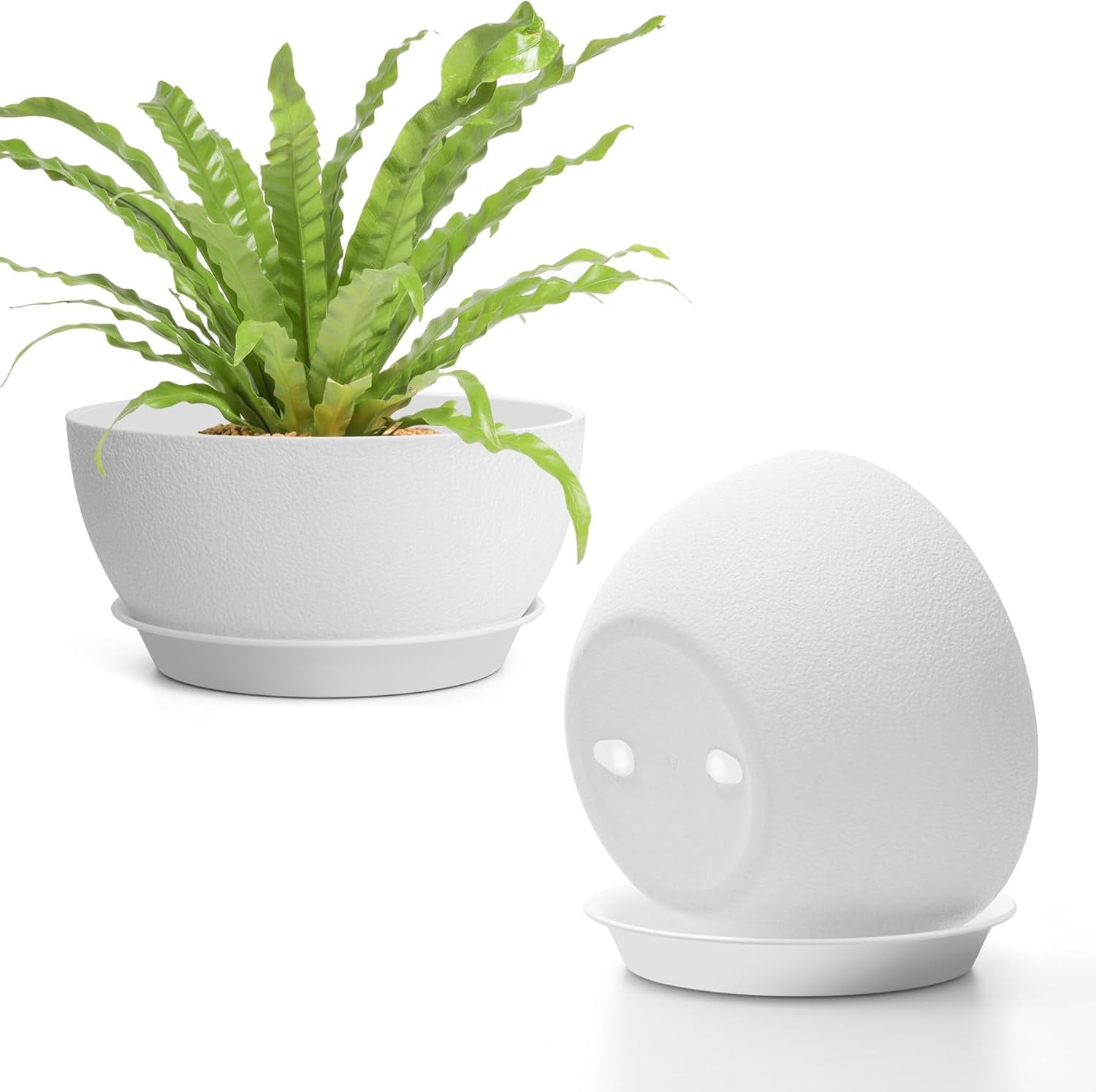 8 Inch Plant Pots, Plastic Planters with Drainage Holes, Plugs, and ...