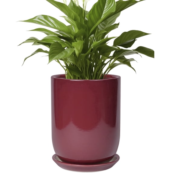 8 Inch Red Ceramic Planter with Drainage Hole – Round Cylinder Flower ...