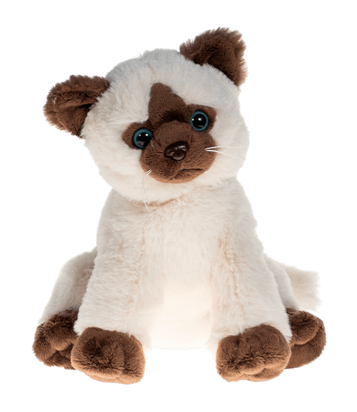 8 Inch Sammy the Siamese Cat Plush Toy in Birthday Hero Boy Tee – Soft ...
