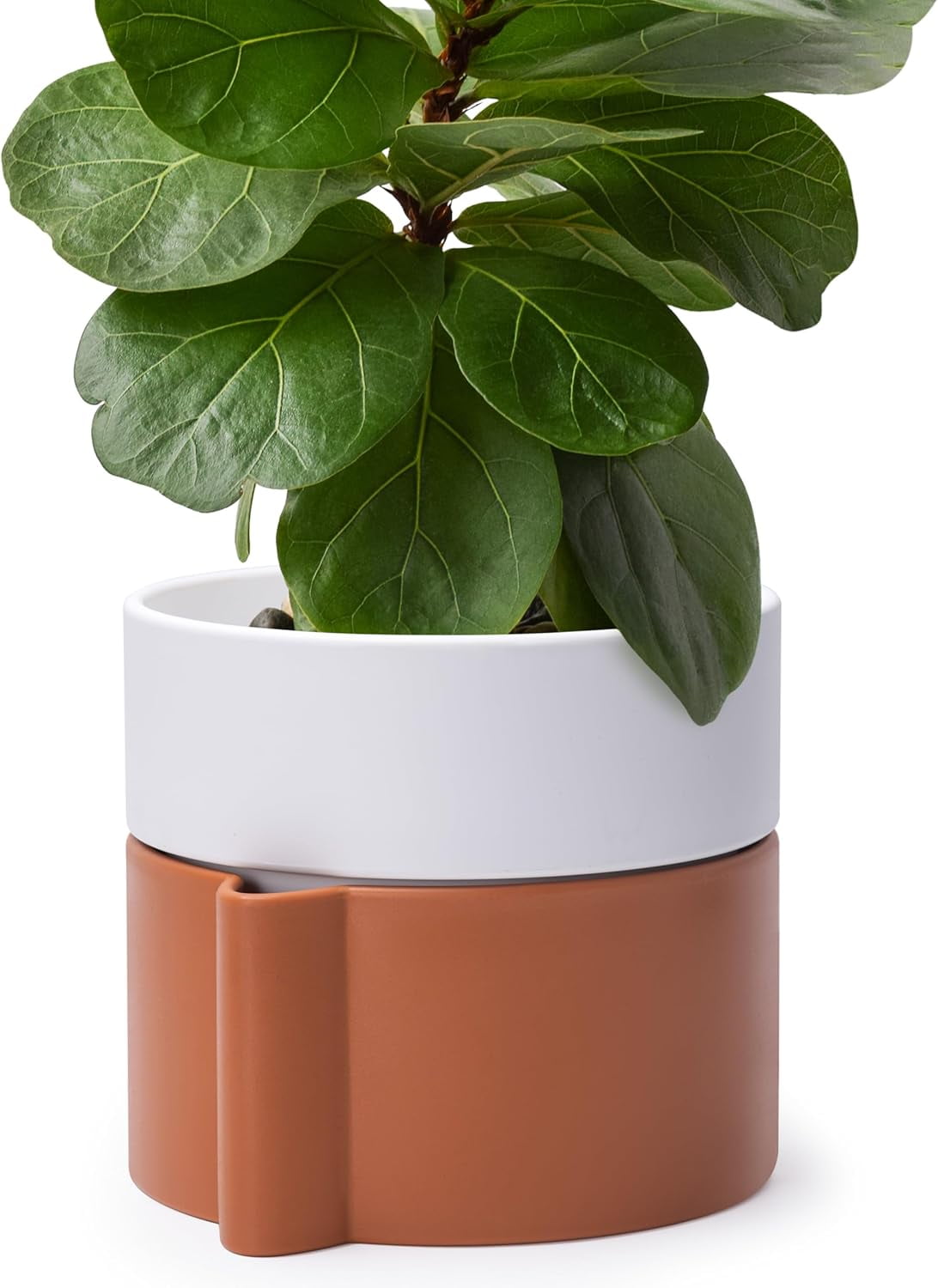 8 Inch Self-Watering Planter Pot with Terracotta Insert, Deep Water ...